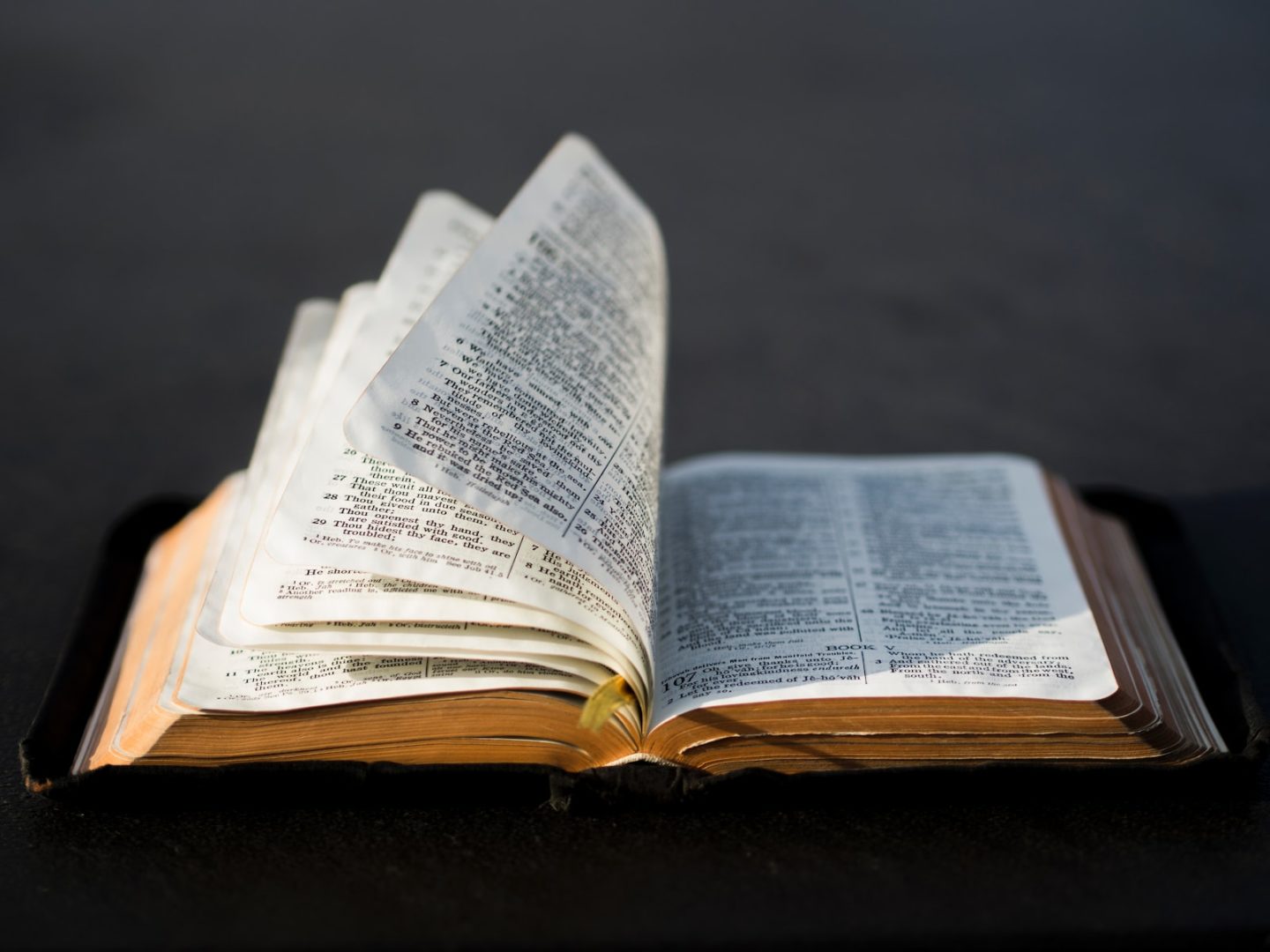 Church Discipline – The Field Church